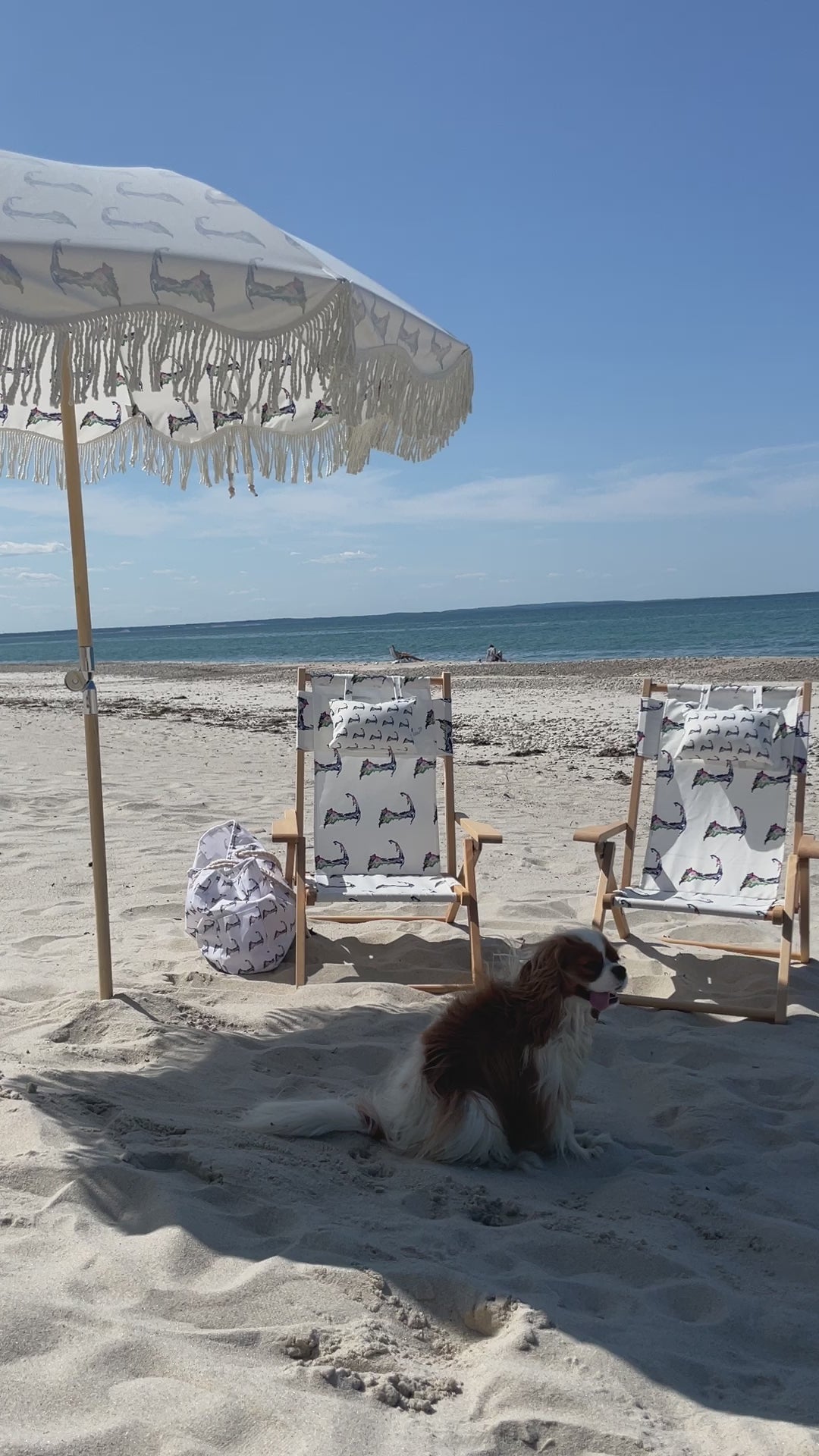 The Original Cape Cod Life Beach Chair- Pick Up only – Cape Cod Chokers